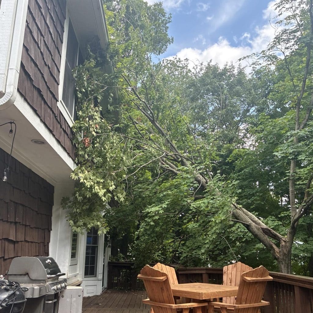 Emergency Tree Removal Indiana | Elite Clean Restoration