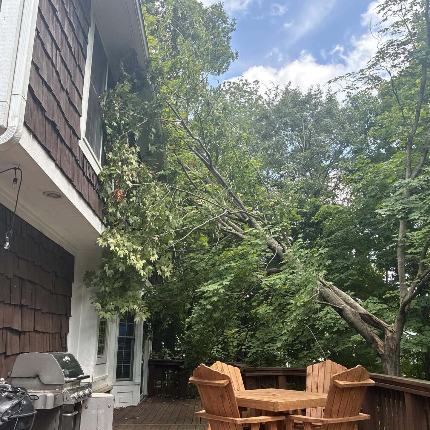 Emergency Tree Removal Indiana | Elite Clean Restoration